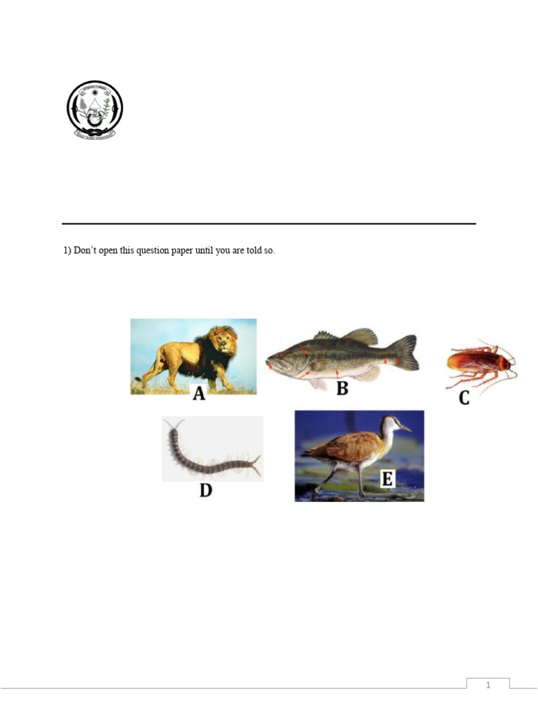 S4 Biology Exam Paper - Rwanda | PDF | Proteins | Peptide