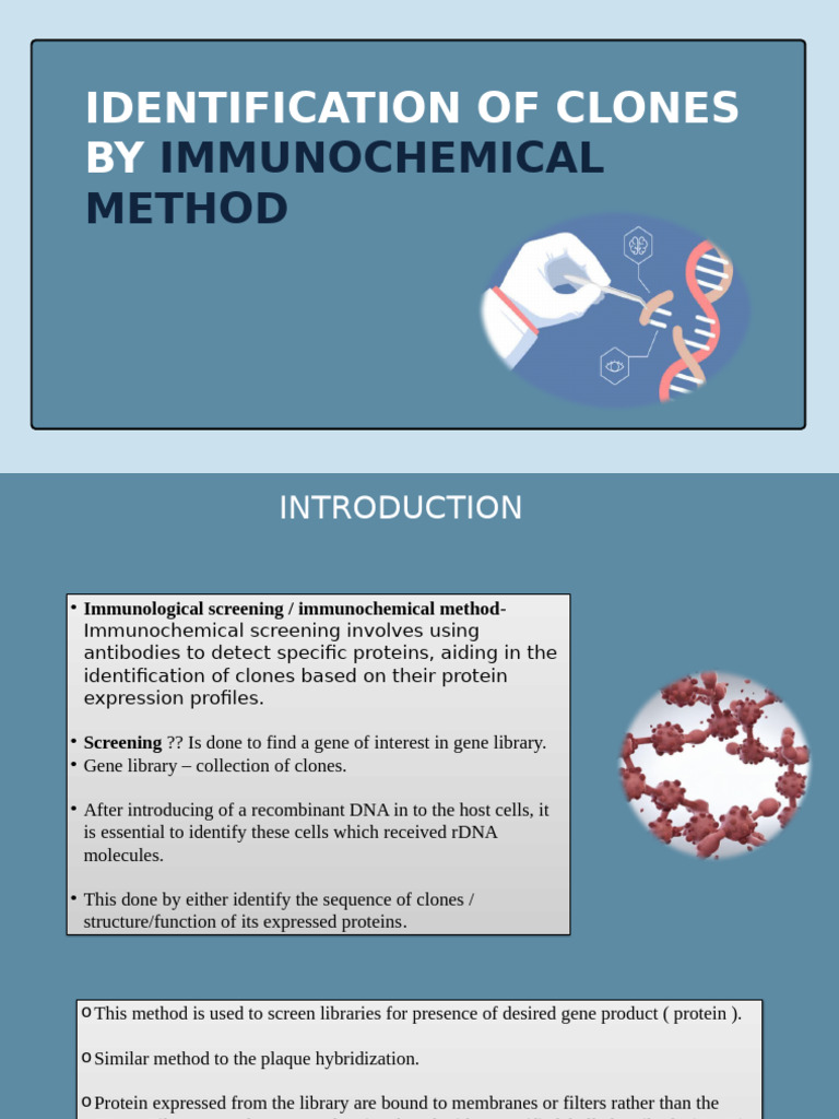 IMMUNOCHEMICAL METHODd | PDF | Molecular Cloning | Antibody
