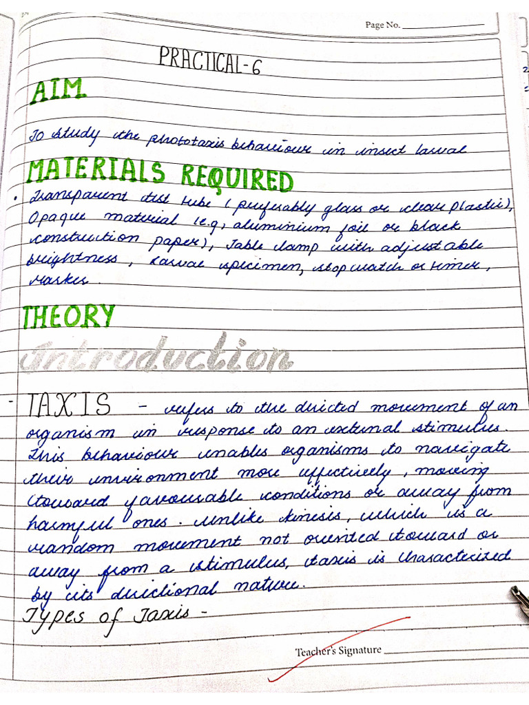 Phototaxis Exp | PDF