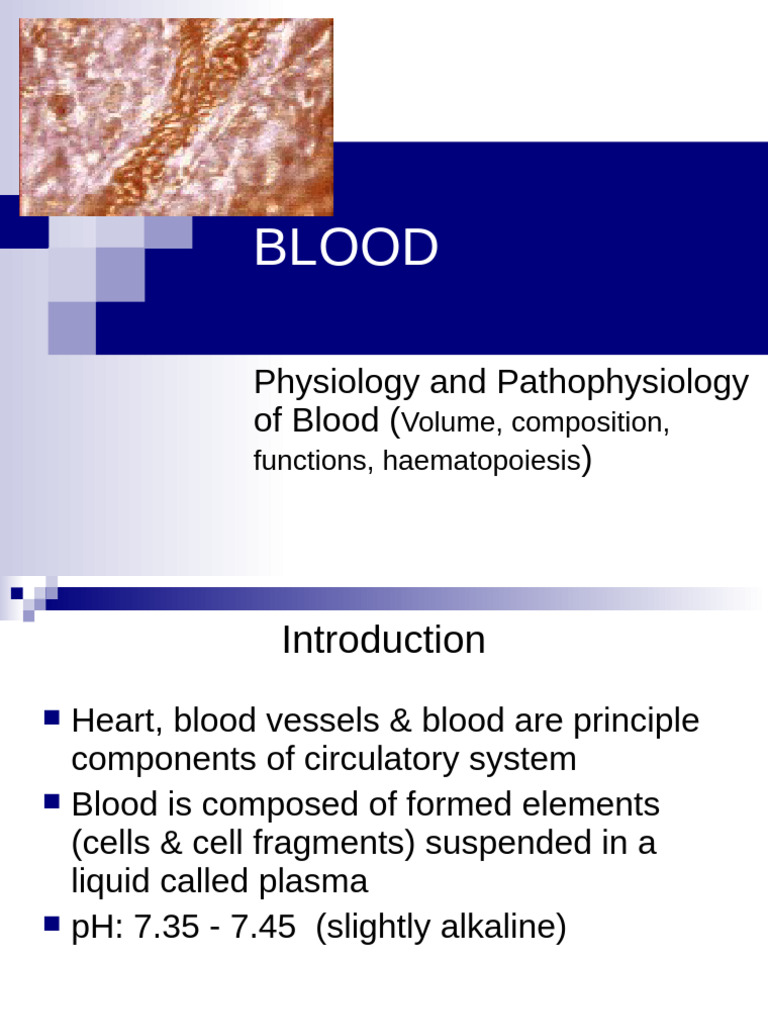 Physiology and Pathophysiology of Blood | PDF | Blood | Blood Plasma