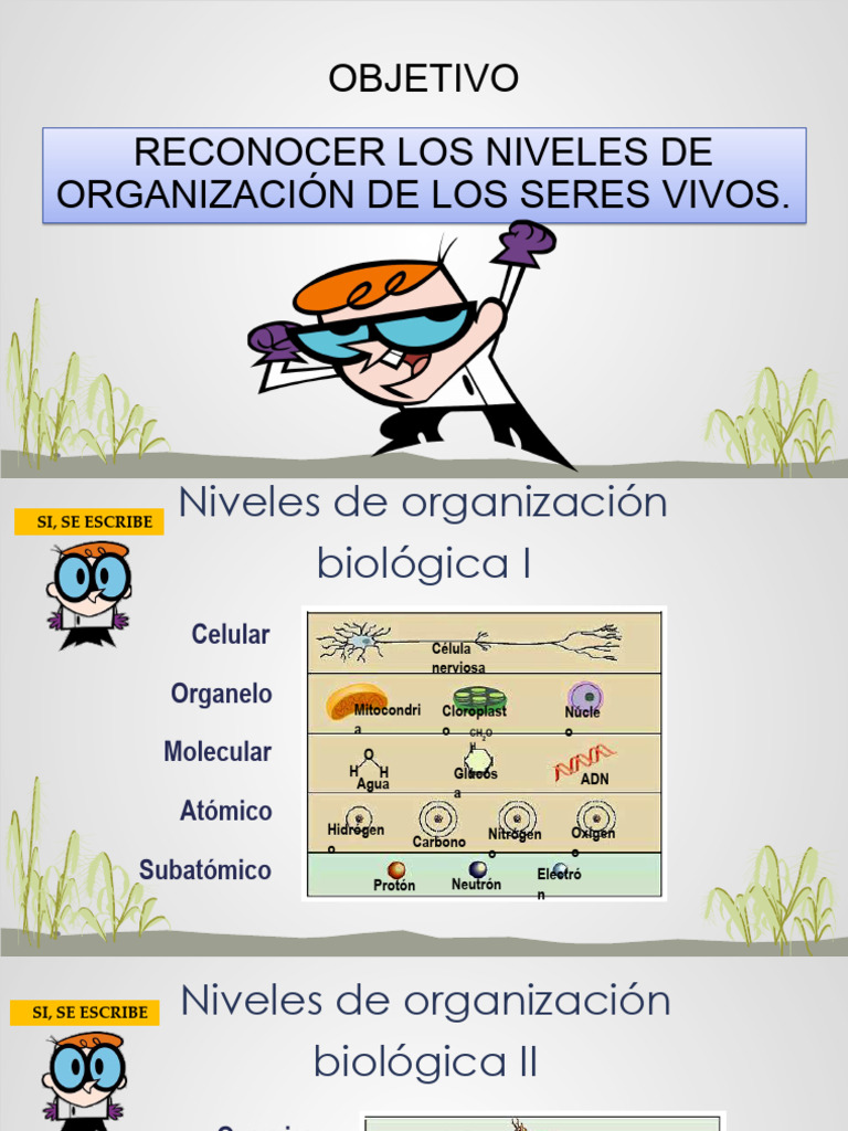 Niveles de Organizaci-N-5 | PDF | Organismos | Agua