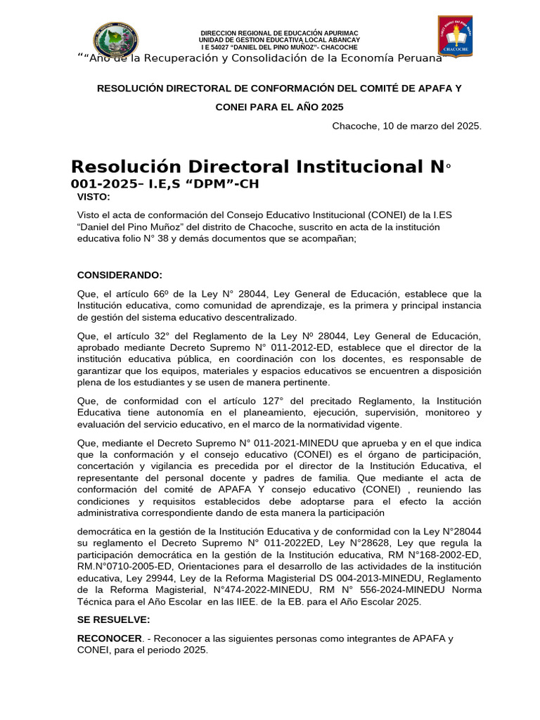 RD Apafa y Conei 2025 | PDF