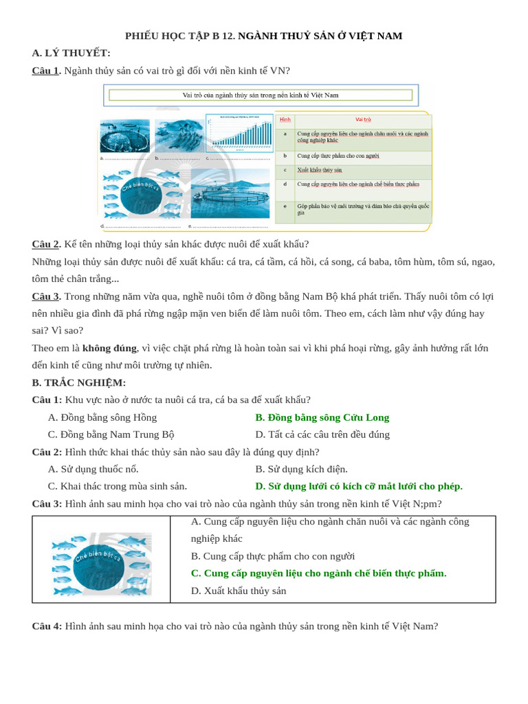 Đáp Án KT PHT B 12 | PDF