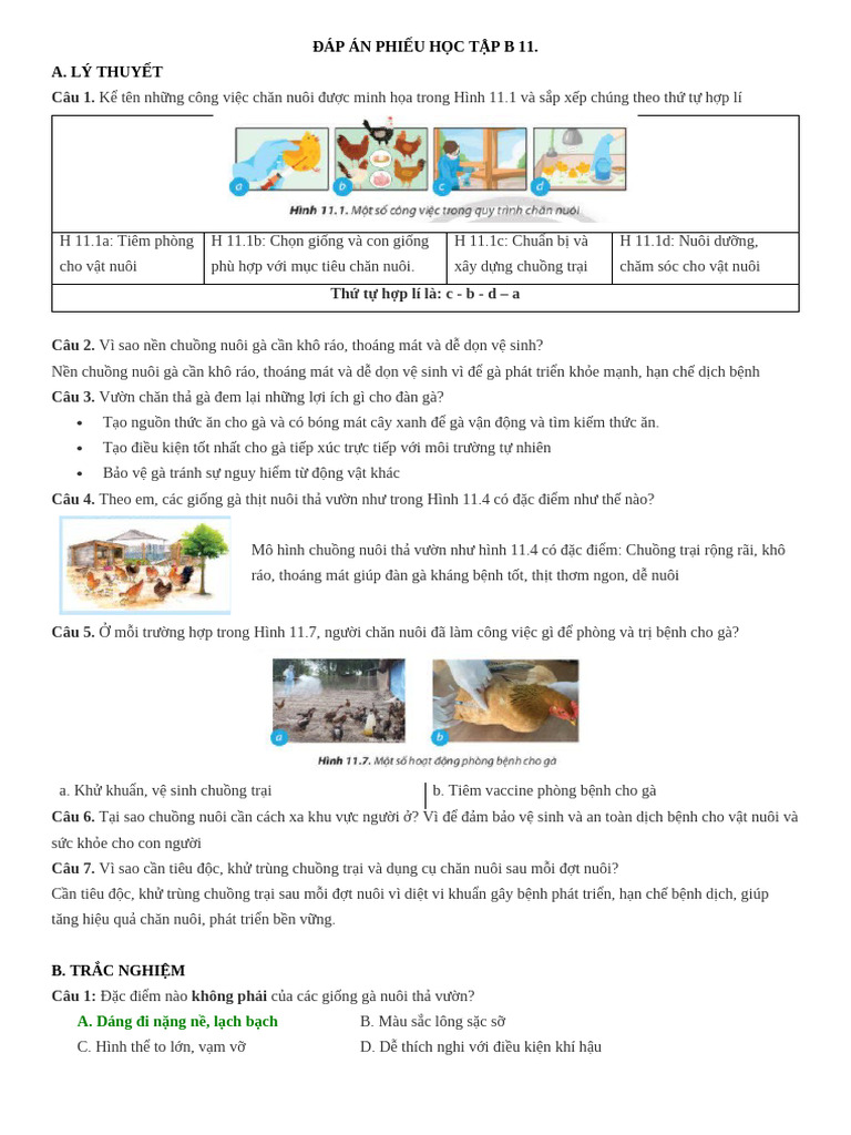 Đáp án KT PHT B 11 | PDF