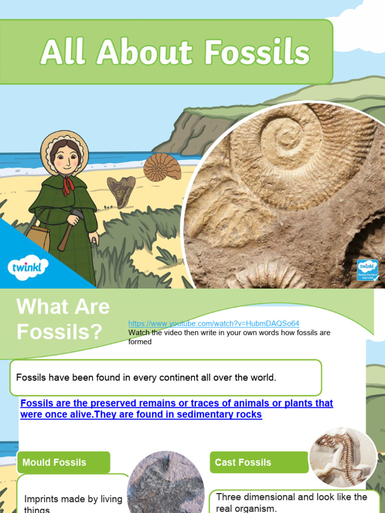 Understanding Fossils and Their Formation | PDF | Fossil | Rock (Geology)