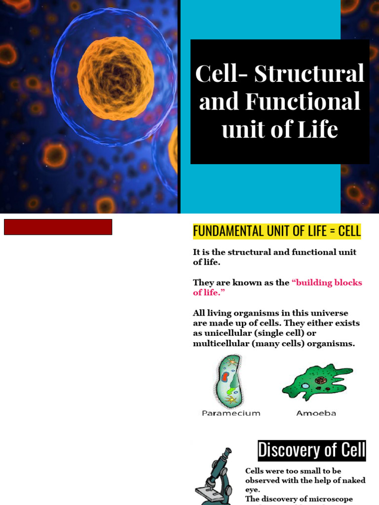 Class 9 - Cell - Structural and Functional Unit of Life | PDF ...