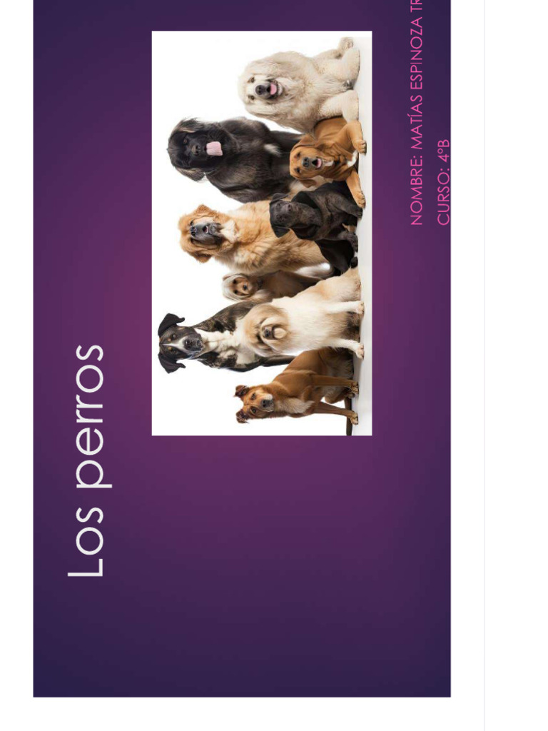 Disertacion Los Perros | PDF
