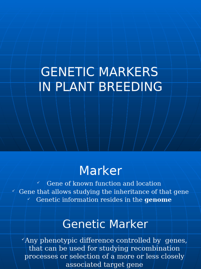 Lecture 2 - Molecular Markers | PDF | Single Nucleotide Polymorphism | Polymerase Chain Reaction