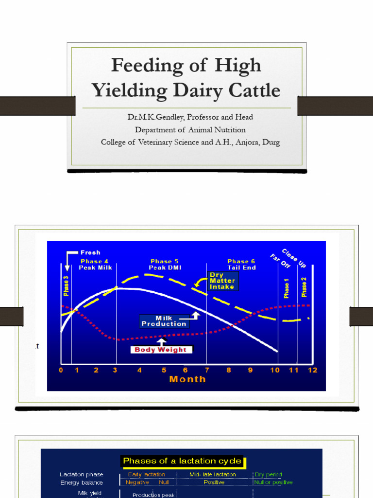 Feeding Of High Yiedlgn Dairy Cattle Pdf Dairy Cattle Milk