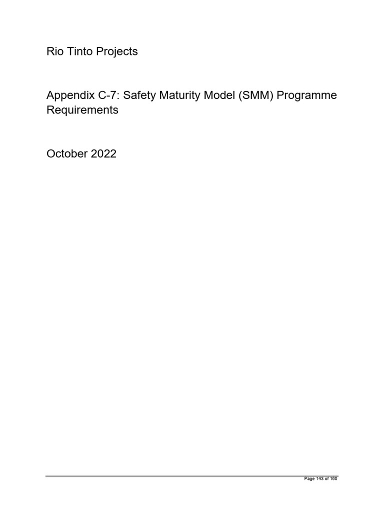 Rio Tinto SMM Programme Overview | PDF | Social Psychology | Business