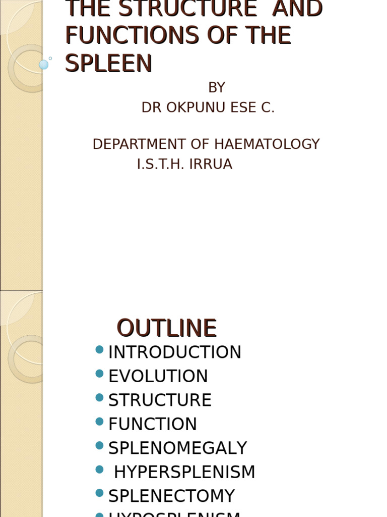 Spleen Structure and Functions Explained | PDF | Spleen | Medical ...