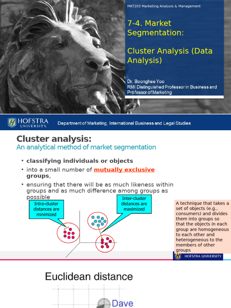 Market Segmentation via Cluster Analysis | PDF | Cluster Analysis | Image Segmentation