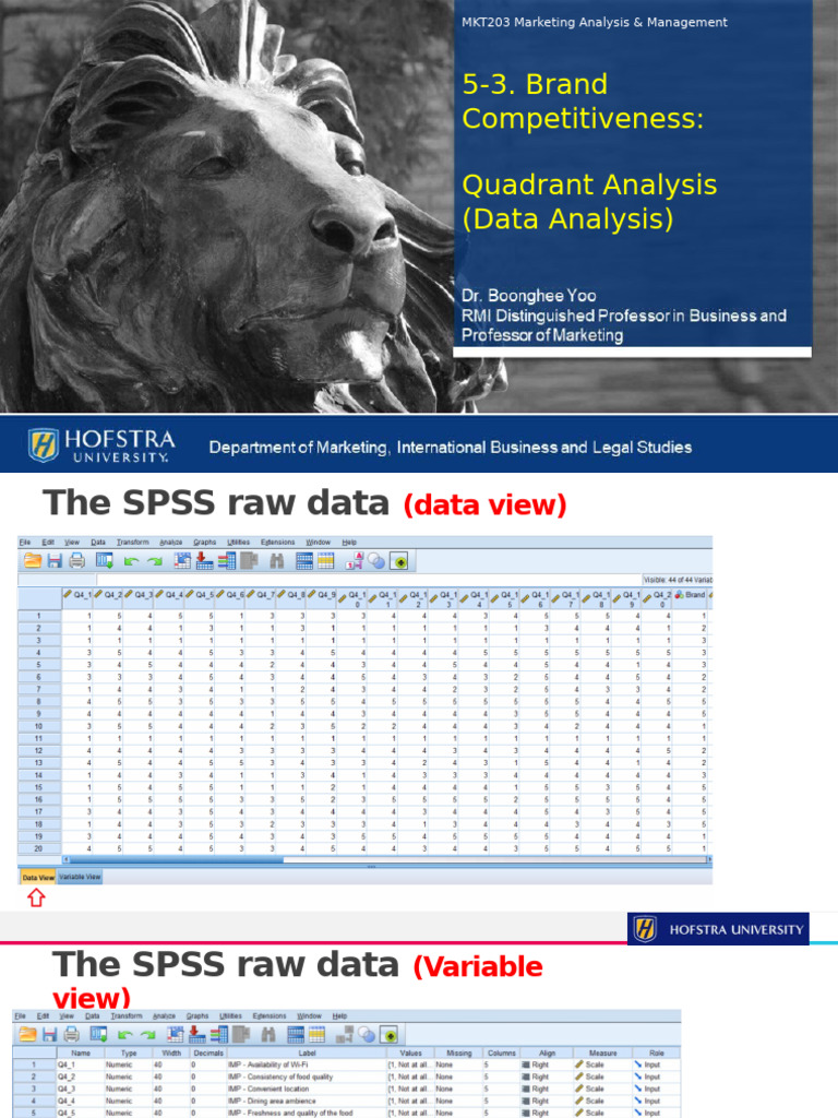 5 Brand Competitiveness 3 Data Analysis | PDF | Spss