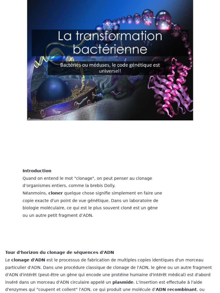 Clonage d'ADN : Processus et Applications | PDF | Plasmide | Clonage