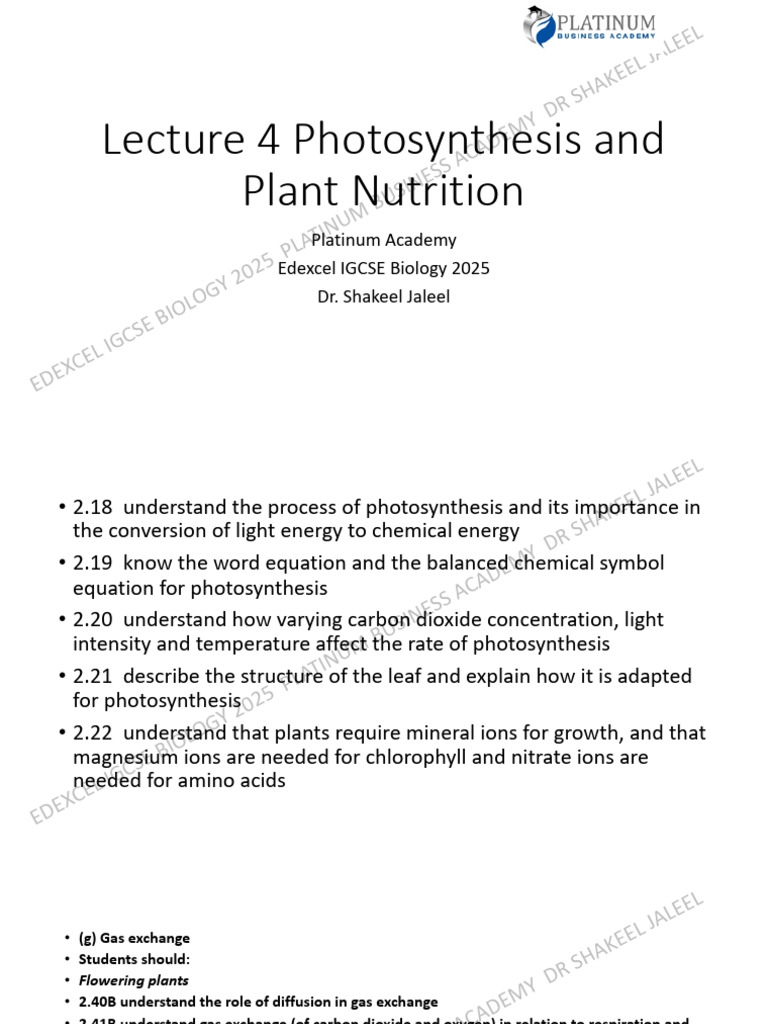 Photosynthesis Edexcel 2024 | PDF | Photosynthesis | Leaf