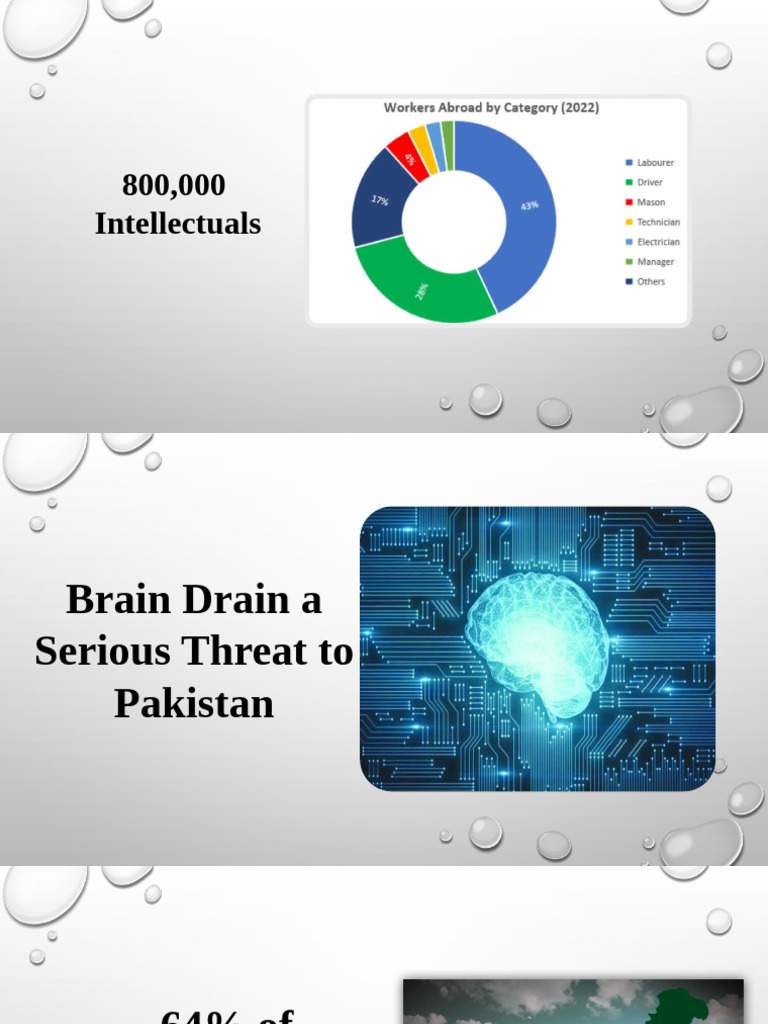 Brain Drain A Serious Issue | PDF
