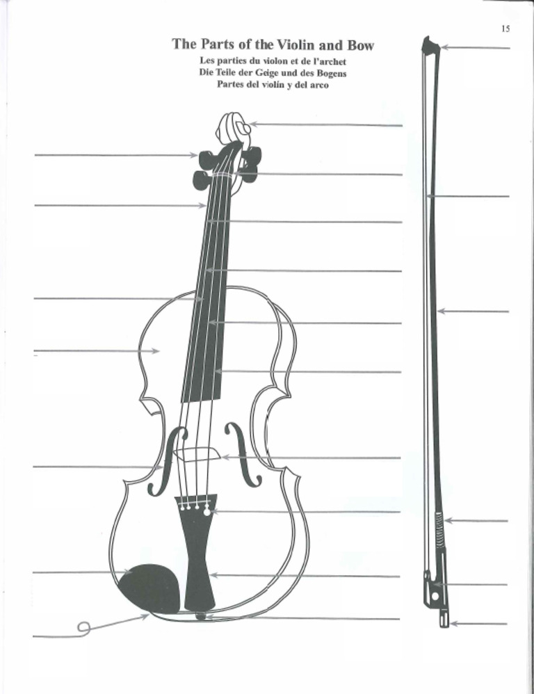 Parts of The Violin Blank | PDF