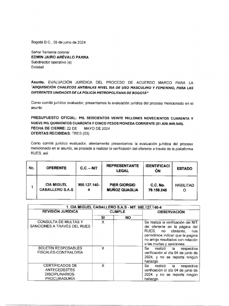 Informe Preliminar de Evaluación | PDF