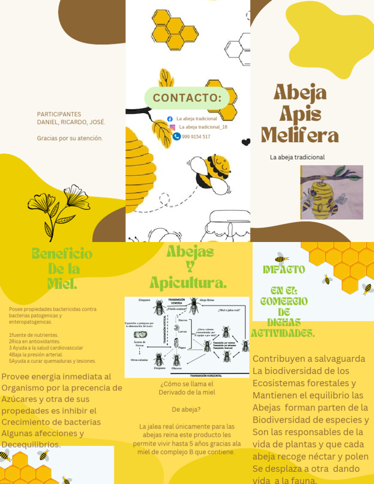 Folleto Tríptico Medio Ambiente Naturaleza Moderno Verde y Blanco - 20250309 - 155520 - 0000 ...