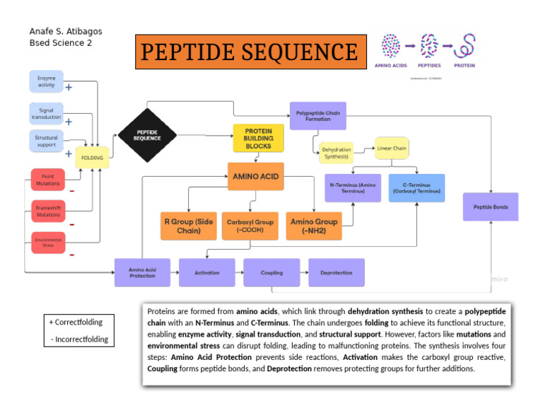Peptide Sequence and Protein Folding | PDF