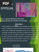 05 Tejidos Epiteliales III Especializaciones Del Dominio Basolateral ...