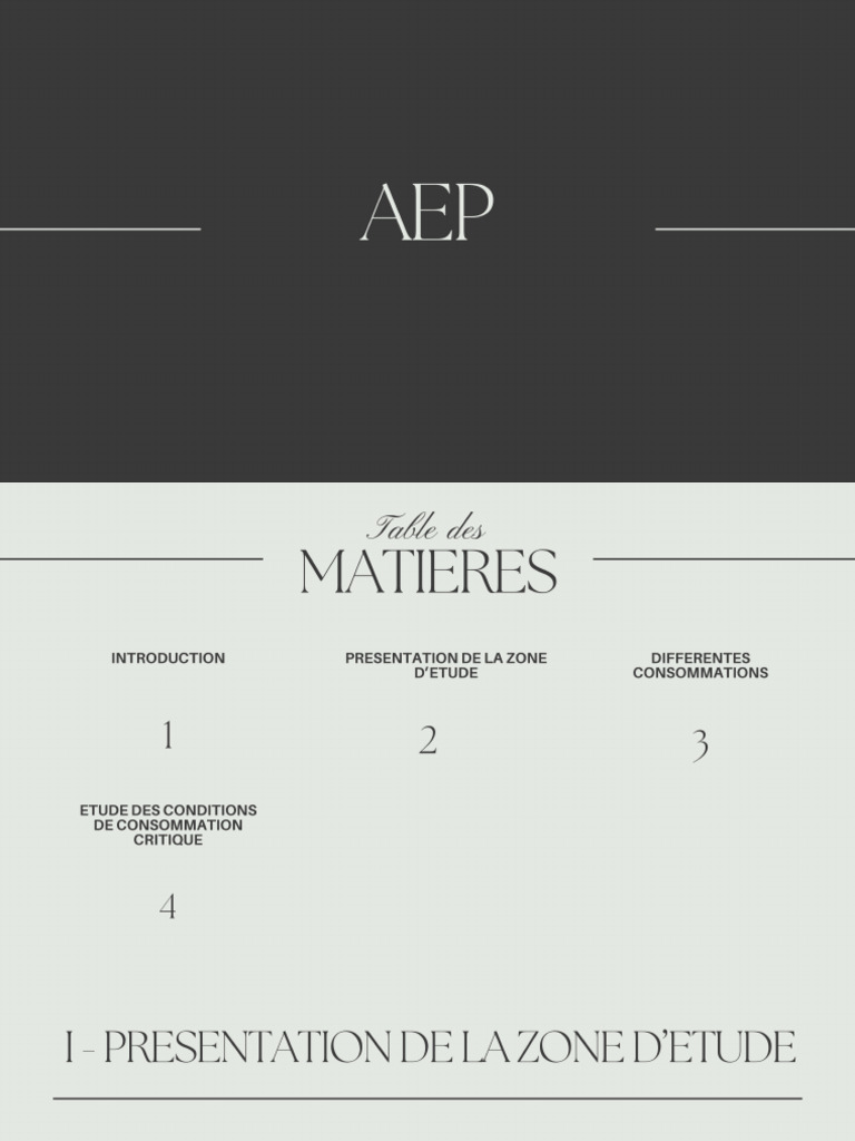 AEP | PDF