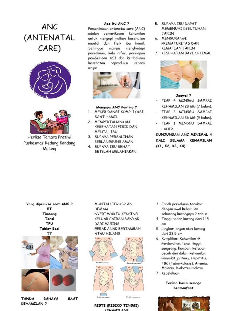 511987682-Leaflet-anc (2) | PDF