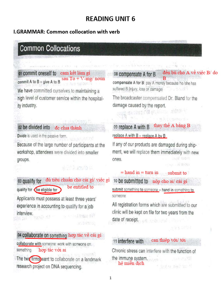 Vocabulary Unit 6 | PDF