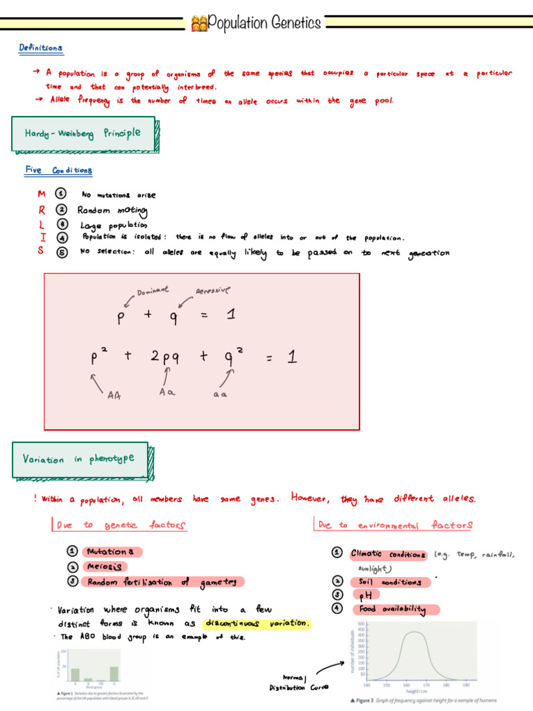 Population Genetics Overview and Principles | PDF | Population Genetics ...