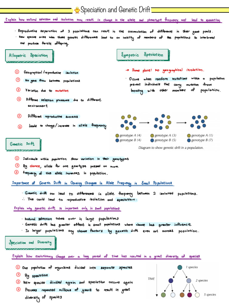 Speciation and Genetic Drift - FactRecall | PDF | Natural Selection ...