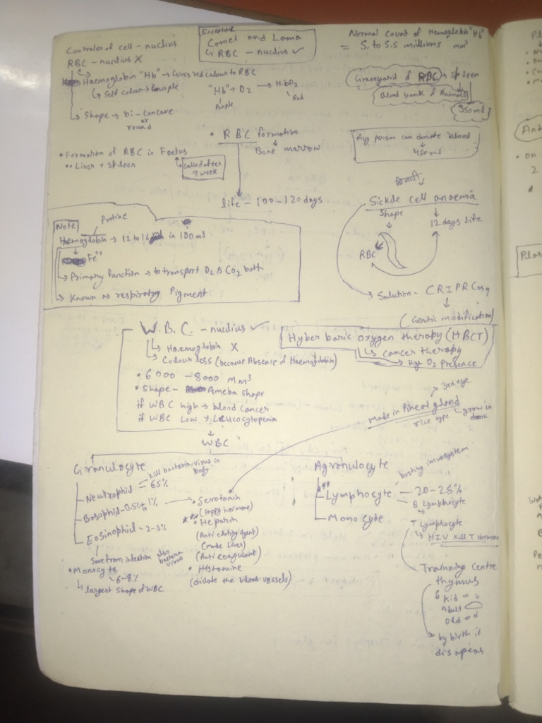 Biology Short Note2 | PDF