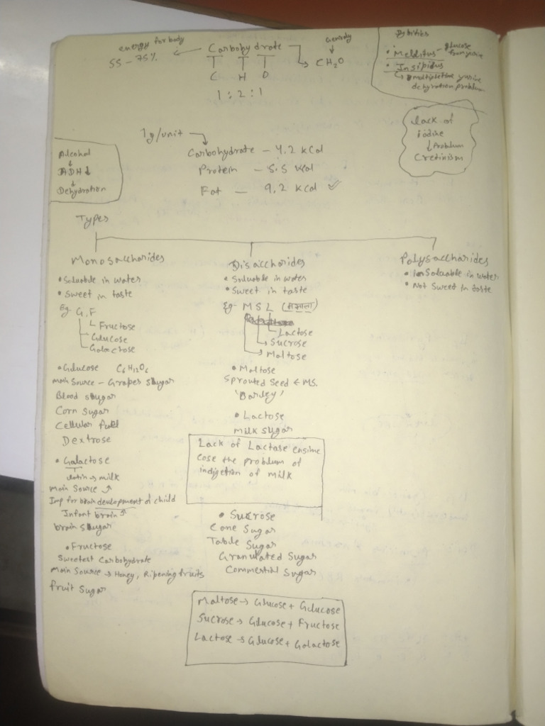 Biology Short Note6 | PDF