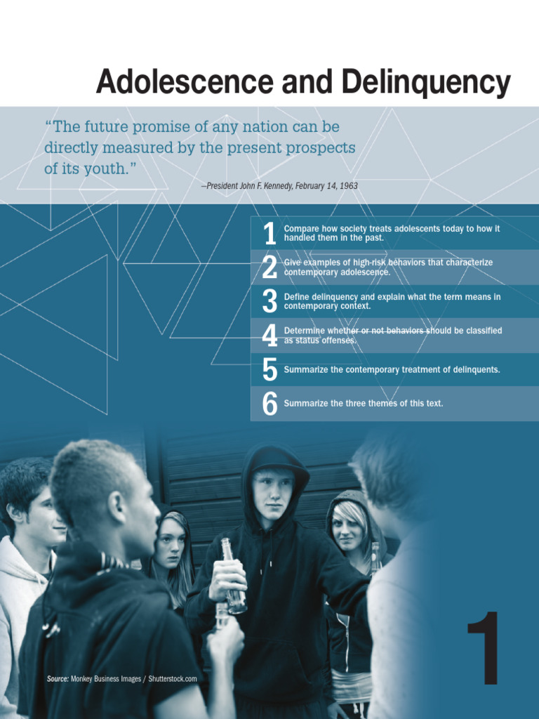 Adolescence and Delinquency | PDF | Juvenile Delinquency | Violence