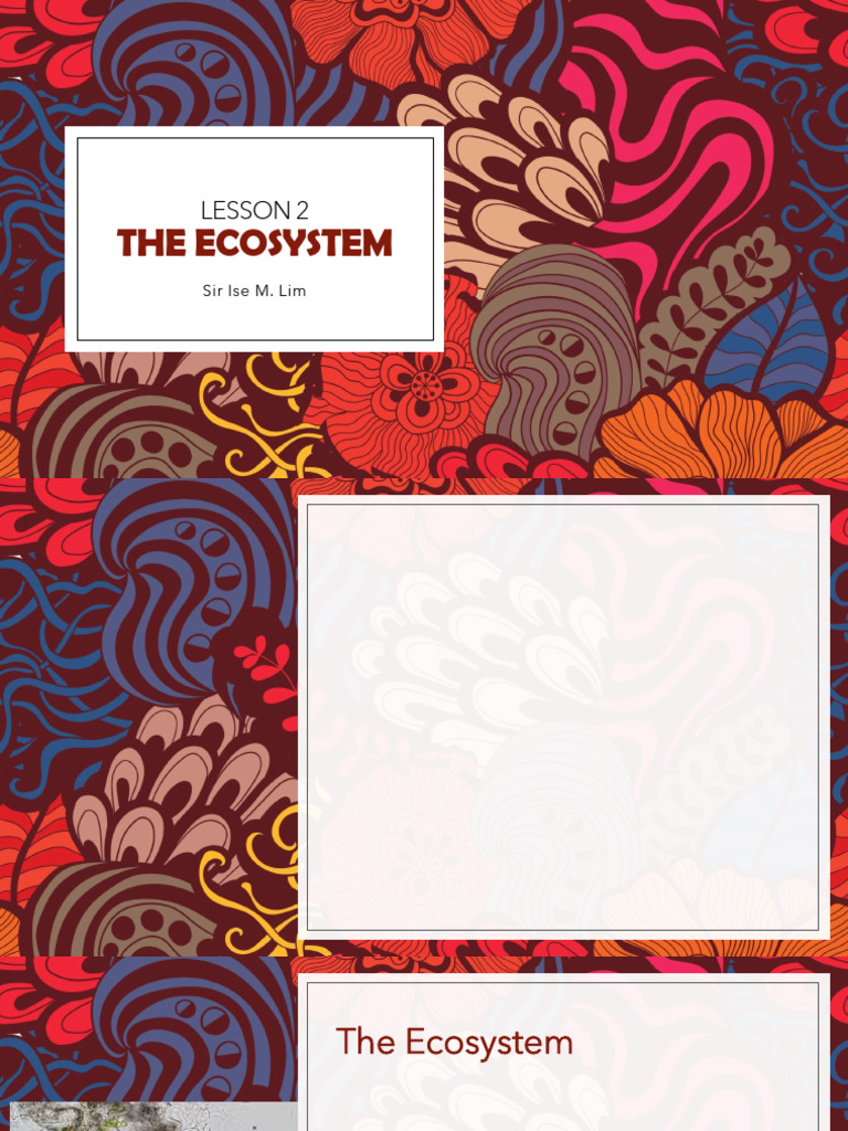 Lesson 2 Ecosystem | PDF | Soil | Ecosystem