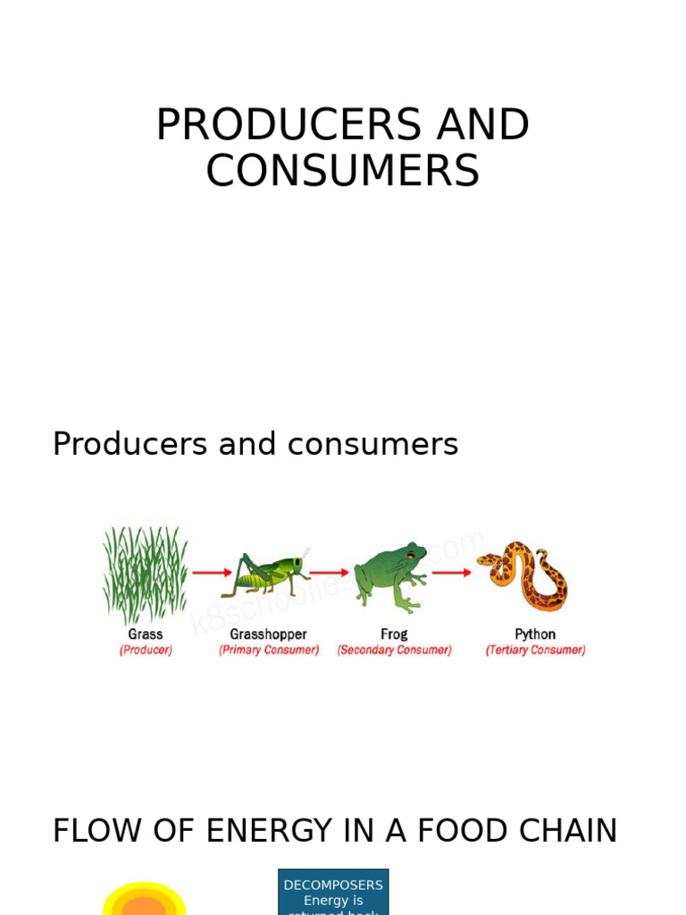 Producers and Consumers GC | PDF