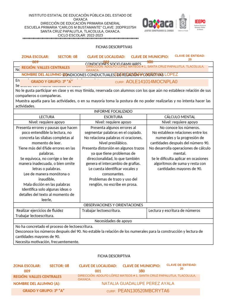 Fichas Descriptivas 3a | PDF | Educación primaria | Escuelas