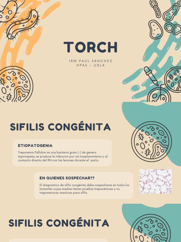 TORCH | PDF | El embarazo | Enfermedades y trastornos humanos