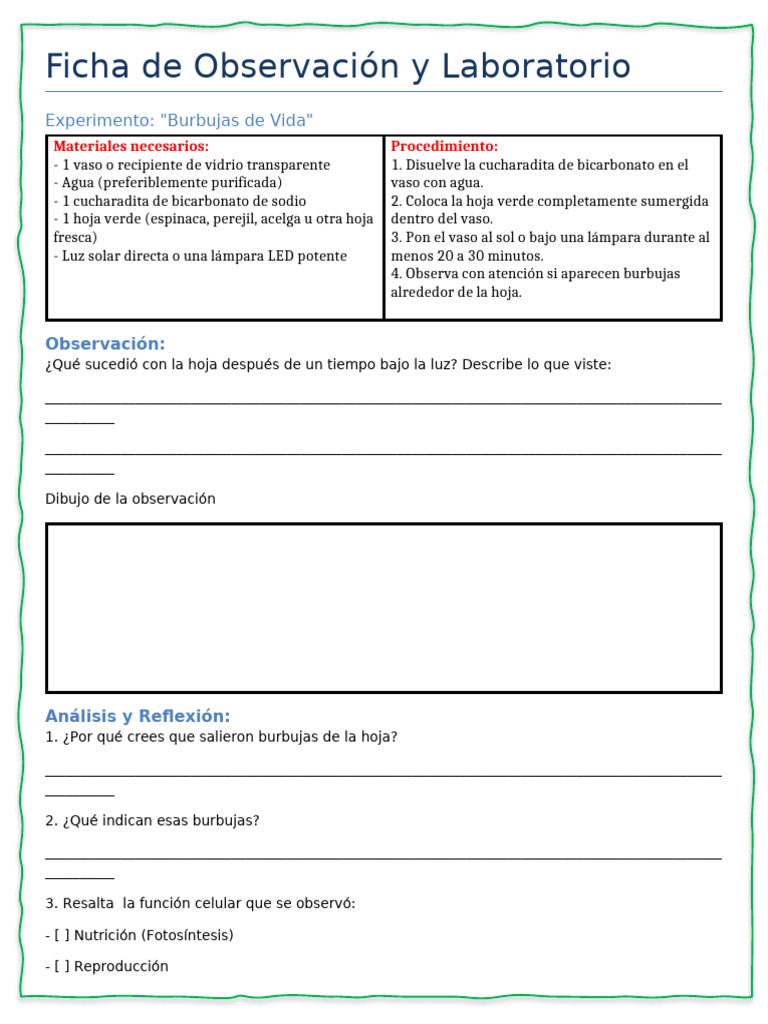 Ficha Observacion Celula Vegetal | PDF | Plantas | Fotosíntesis