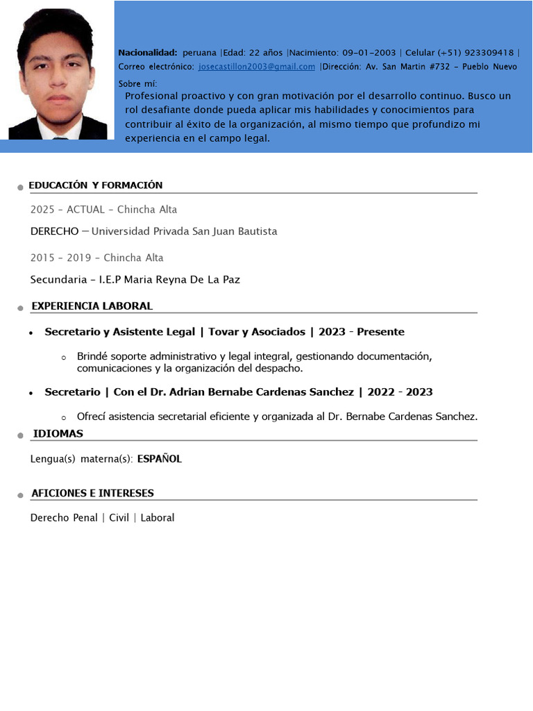 CV JOSE CASTILLON (2 | PDF