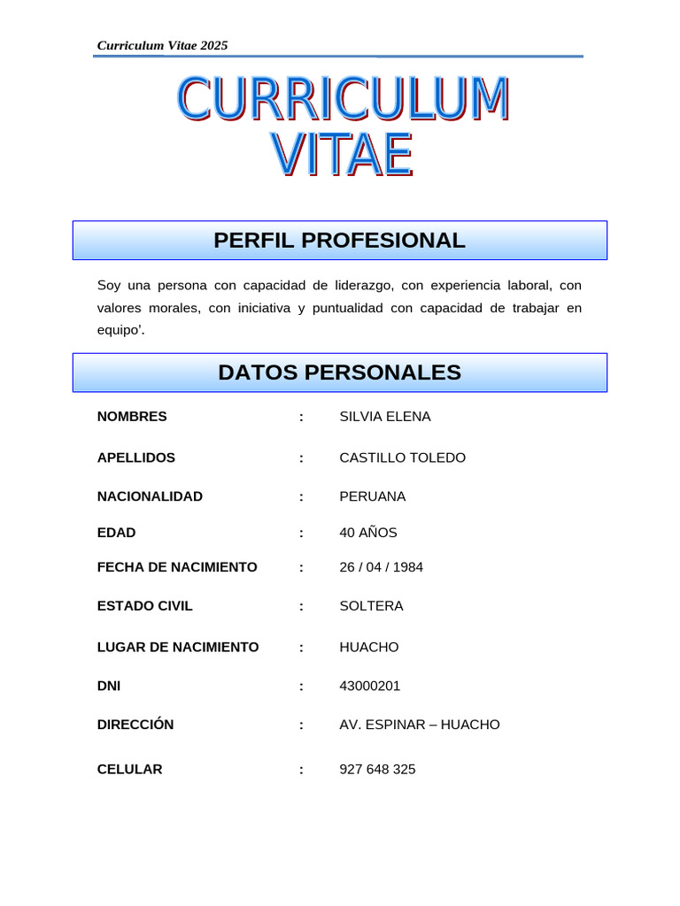 Curriculum Vitae Silvia Castillo 2025 | PDF