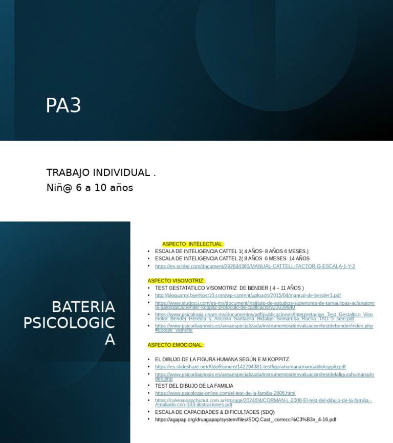Pa3 Bateria Pruebas | PDF