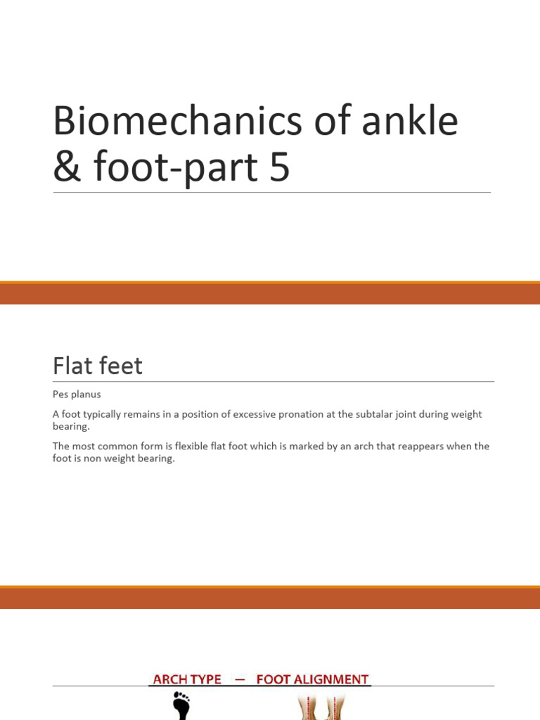Ankle and Foot Complex Part 5 | PDF | Foot | Human Anatomy