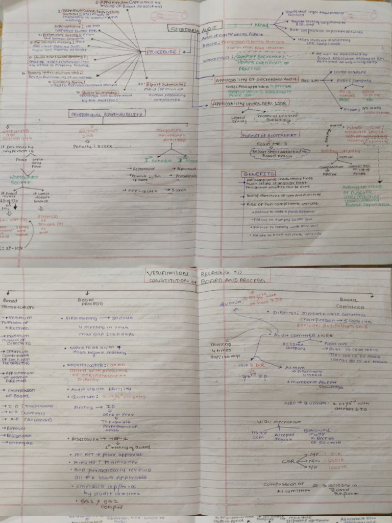 Secretarial Audit CHP 9 DD Chart | PDF