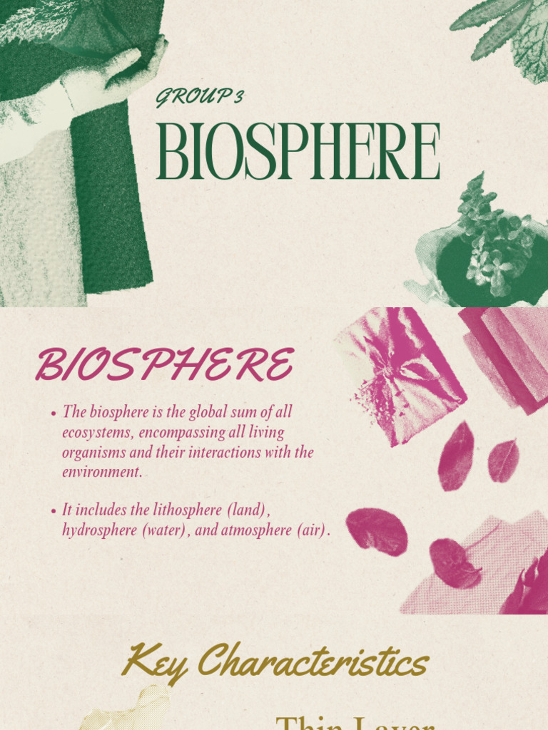 Biosphere (Earth Science) | PDF