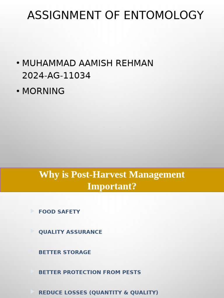 Assignment of ENT Aamish 11034 | PDF