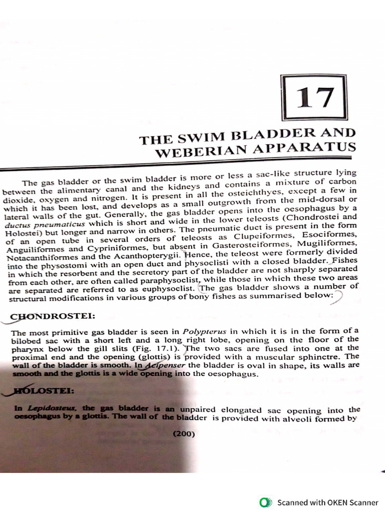 Swim Bladder Bioluminance | PDF