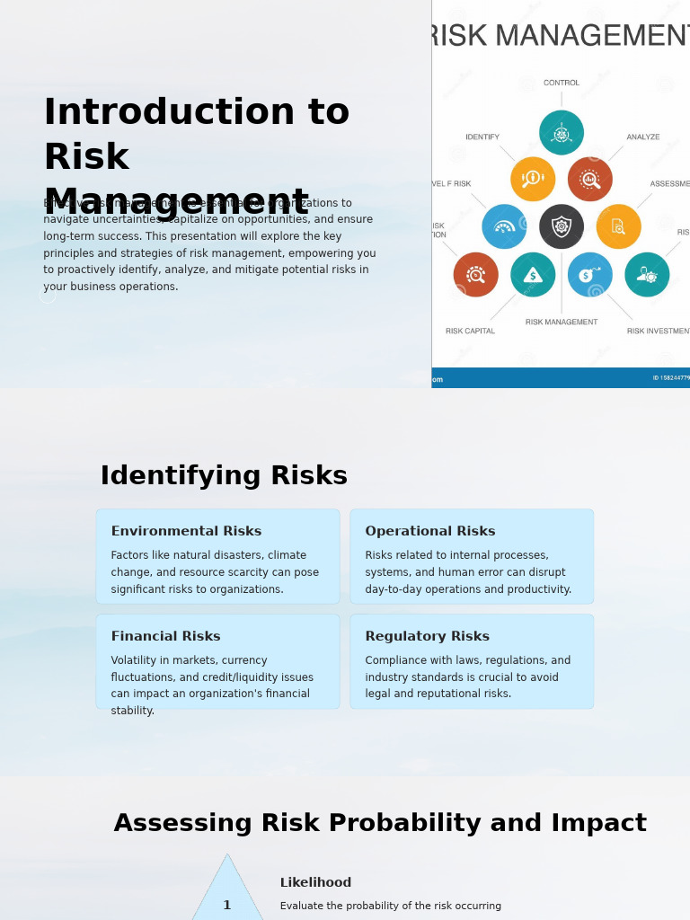 Introduction To Risk Management | PDF | Risk | Risk Management