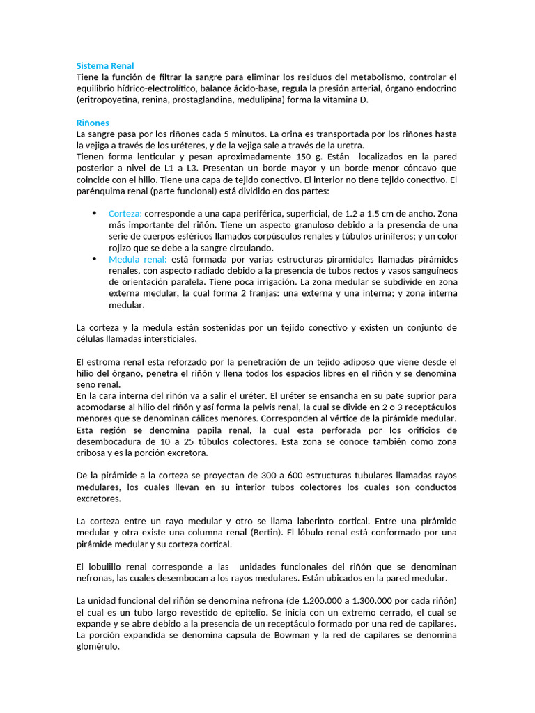 Histología del Sistema Renal | PDF | Riñón | Sistema urinario