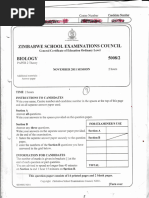 2024 Ns Grade 9 Test Term 1 | PDF | Muscle | Foods