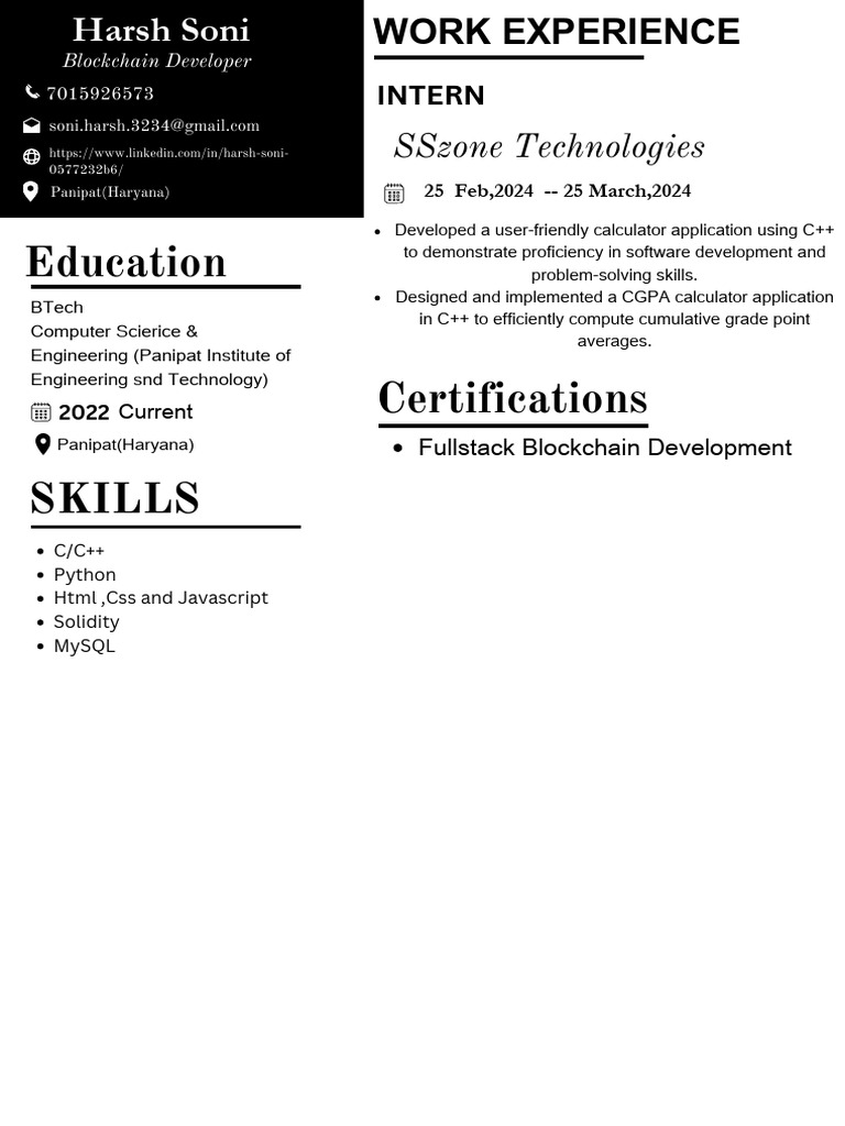 SSzone Internship in Computer Education | PDF